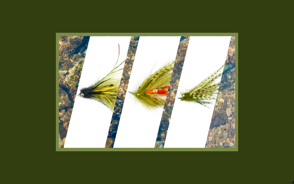 The Ashland Fly Shop - Fly Fishing Gear, Equipment, Flies & Tackle
