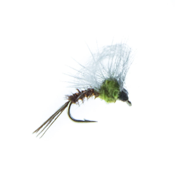 Loopy Cripple | Ashland Fly Shop